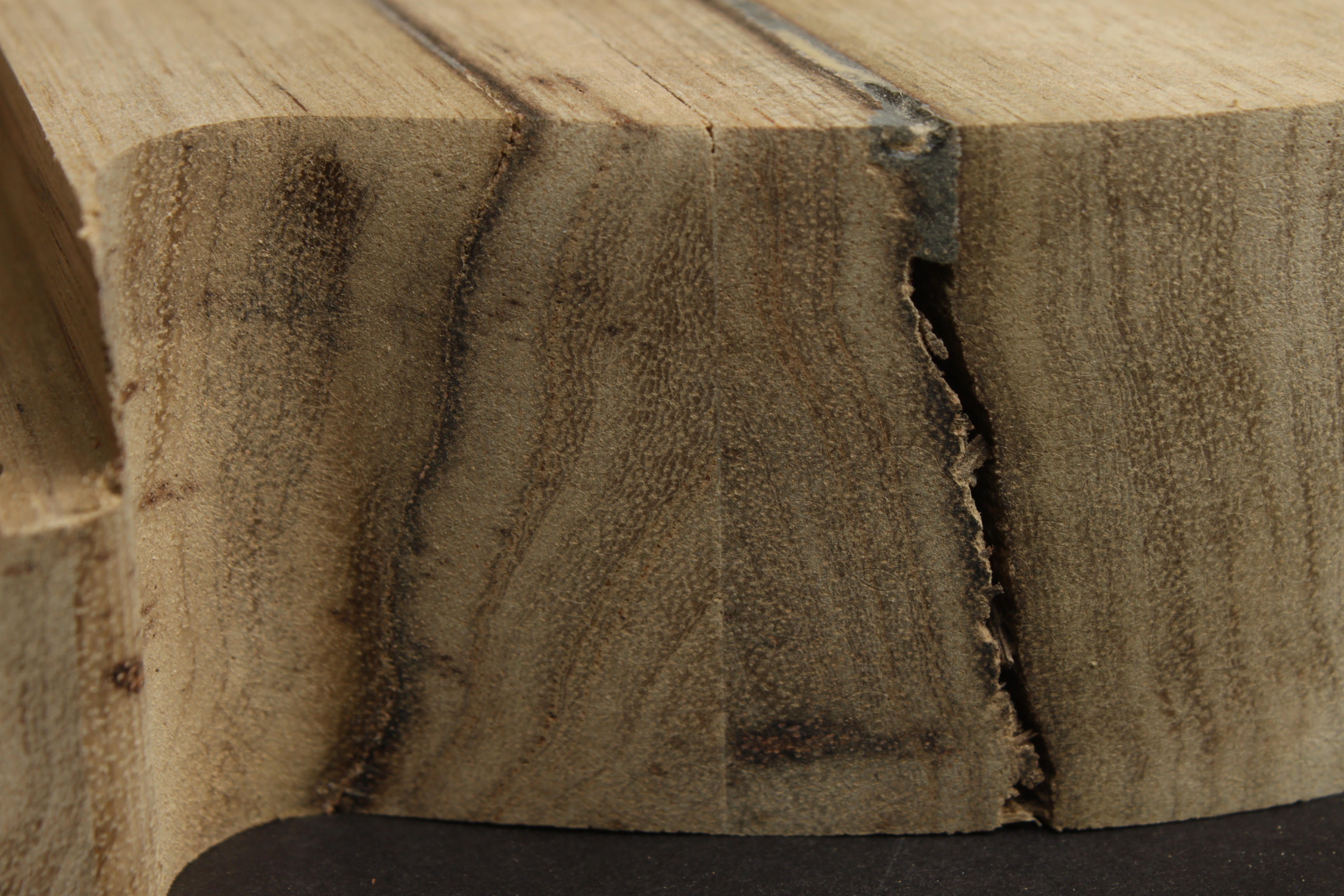 BYO 3 Piece Rear Rout Black Limba Tele Body Unfinished - Guitar bodies ...