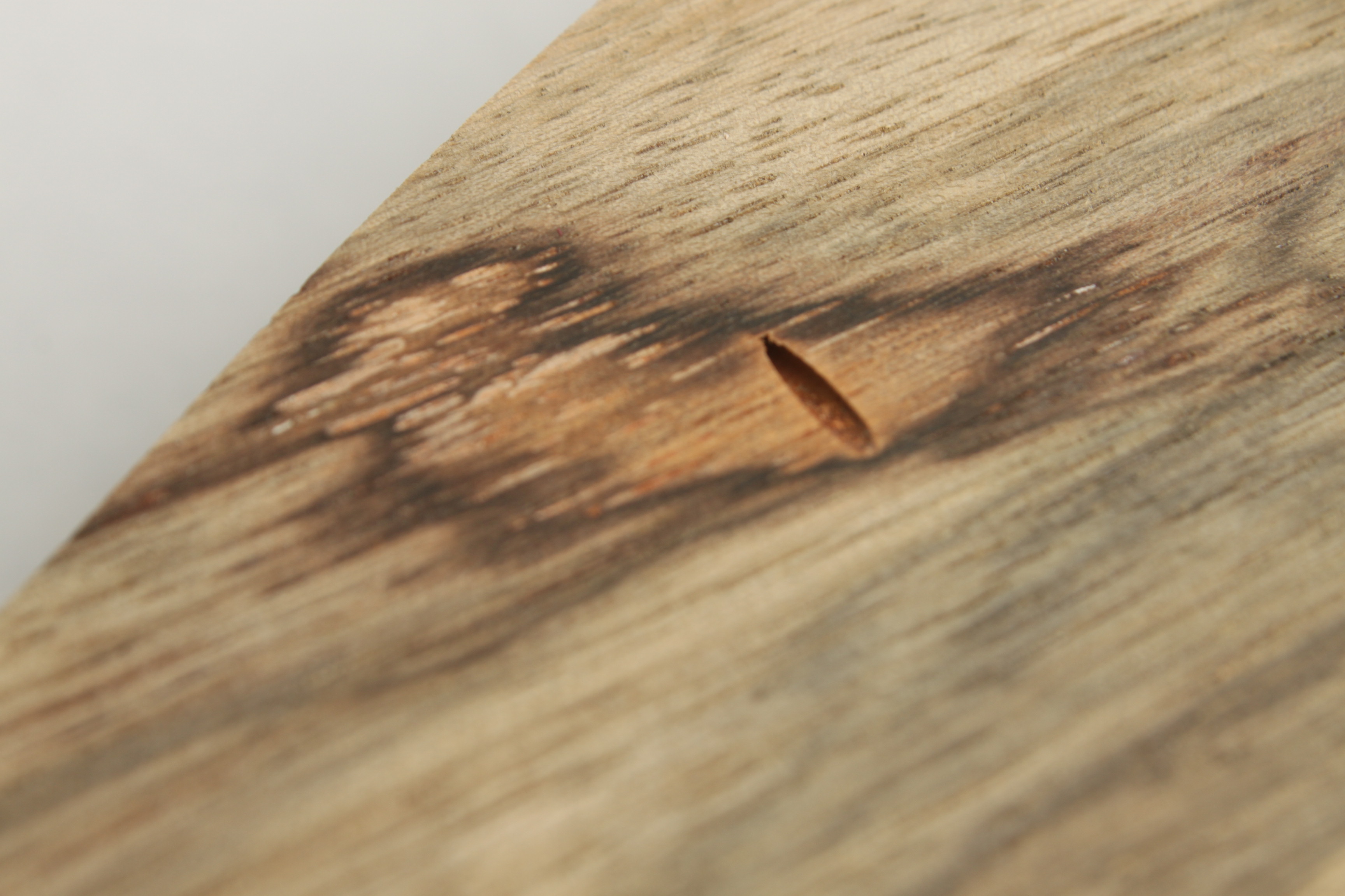 BYO 3 Piece Rear Rout Black Limba Tele Body Unfinished - Guitar bodies ...